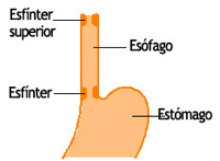 Alteraciones en los movimientos del esófago | Centro Médico Teknon
