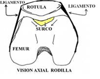 Rótula | Centro Médico Teknon